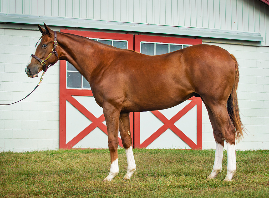 Roster – Zedan Racing