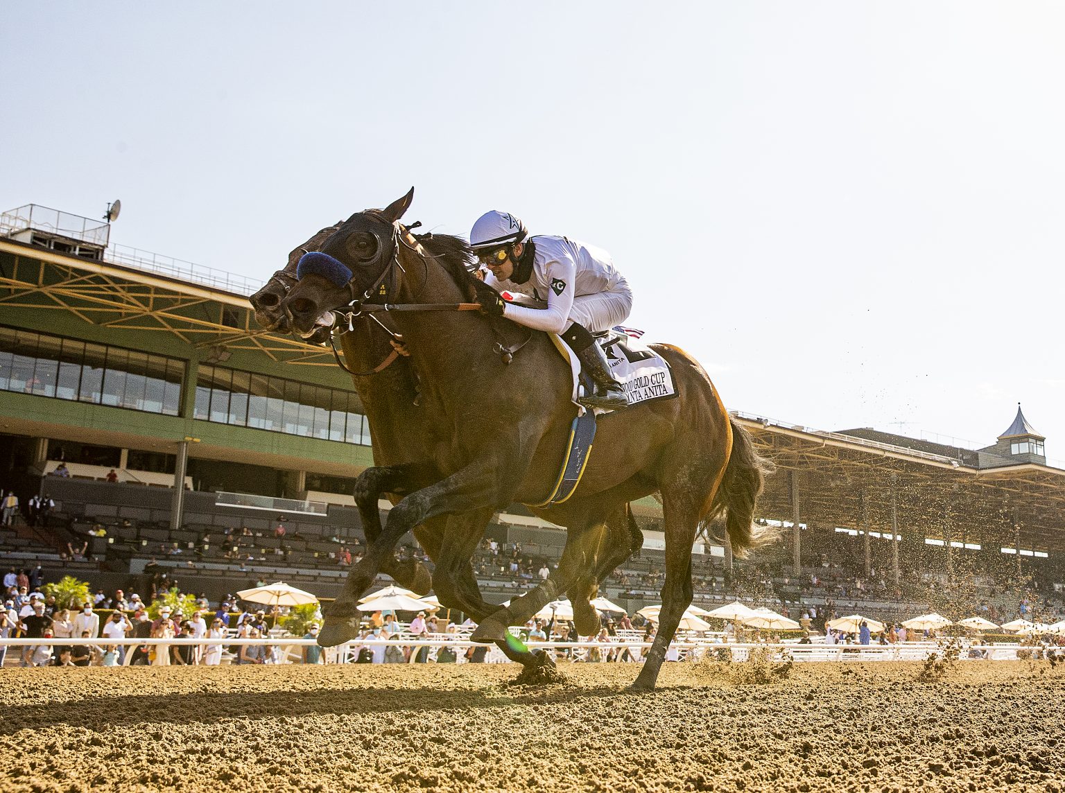 Zedan Racing partners with Winstar Farm on Grade 1 winner COUNTRY ...